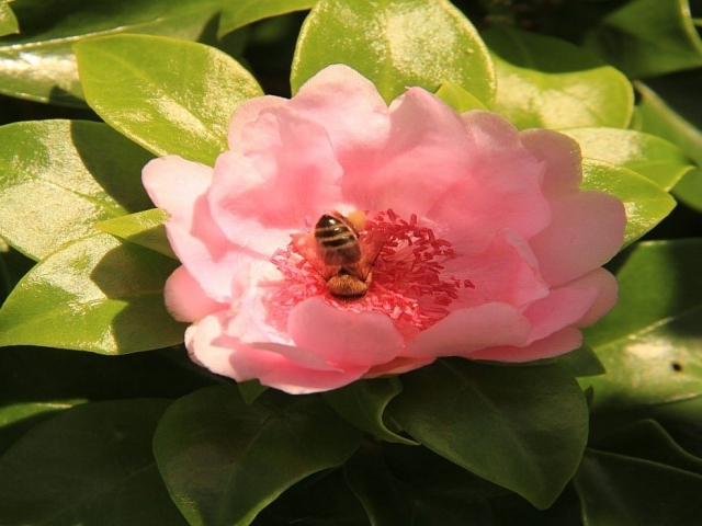 Jardín Botánico Nacional | JBN - Inicio